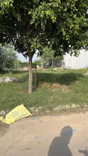 Residential land / Plot for sale in KLV Signature Lake City Sector 116 Mohali - 140 Sq. Yard.