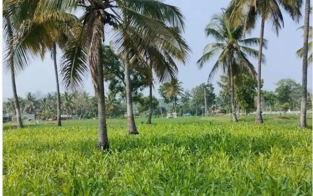 Residential land in Subramanyapura, Kanakapura Road from 10 lakhs to 15 ...