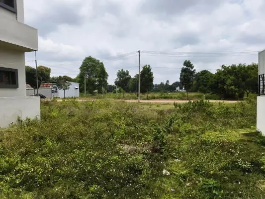 Property in Vidyashankara Layout Mysore - Real Estate in Vidyashankara ...