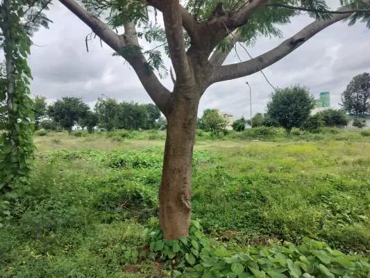 KHB Surya City Resale - 9+ Flats for Resale in KHB Surya City, Suryanagar Phase I Bangalore