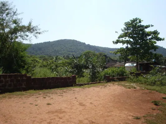 Freehold Plots in Loutolim, Goa - Freehold Land / Plots for sale in ...