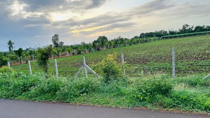 Agriculture land for sale in Gopal Nagar, Hyderabad - Farm land for ...