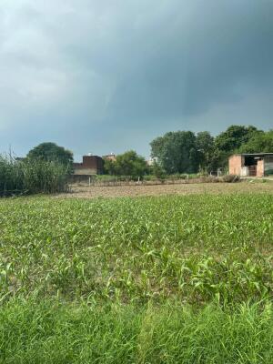 Plots for sale in Nangal Rupnagar - 1+ Residential Land / Plots in ...