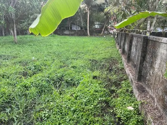 Property in Kodamthuruth Alappuzha - Real Estate in Kodamthuruth Alappuzha