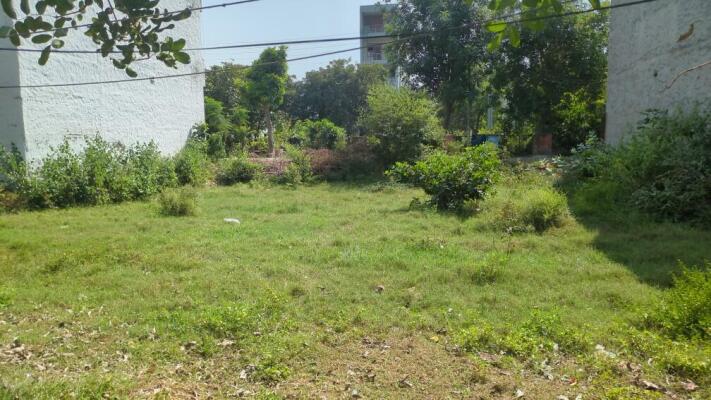 Residential land / Plot for sale in Sector 65 Faridabad - 60 Sq. Yard.
