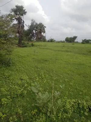 Property in Ovala Naka, Ghodbunder Road - Real Estate in Ovala Naka ...