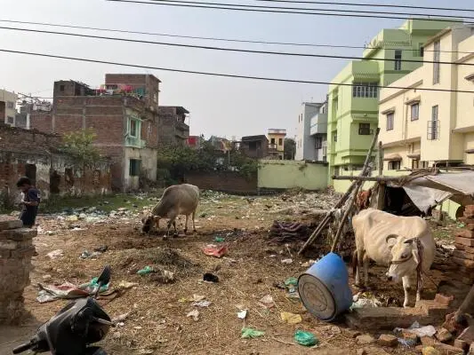 Property in Indrapuri Patna - Real Estate in Indrapuri Patna