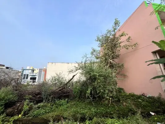 Property in Boriyakhurd Raipur - Real Estate in Boriyakhurd Raipur