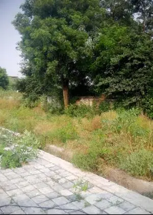 Gated Community Plots in Shastripuram Agra - 8+ Properties