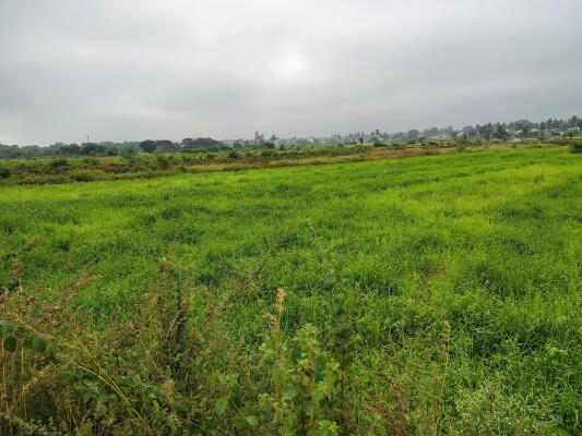 Factory for rent in Mayasandra Bangalore - 55000 Sq. Ft.