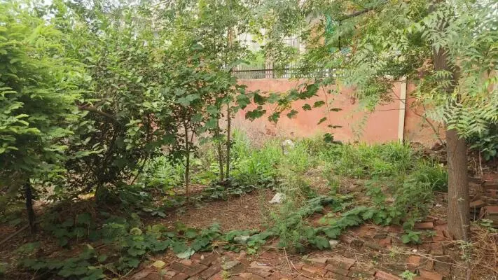 Property in Tower Enclave Jalandhar - Real Estate in Tower Enclave ...