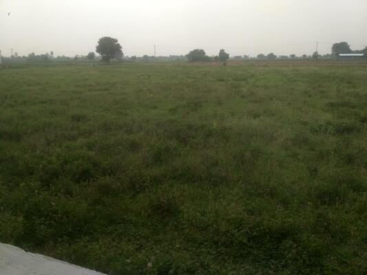 Agriculture / Farm land for rent in Kanjirangulam Madurai - 4840 Sq. Yard.
