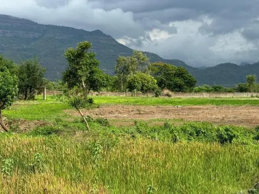 Residential land in Chirle, Navi Mumbai from 5 lakhs to 10 lakhs - 12 ...
