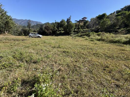 Residential land / Plot for sale in Shoghi Shimla - 1587520 Sqyd