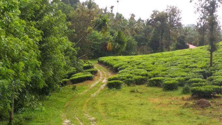 3 BHK House / Villa for sale in Meppadi Wayanad - 1800 Sq. Ft.