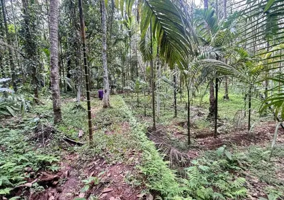 Residential land in Calicut from 10 lakhs to 20 lakhs - 34+ Residential ...