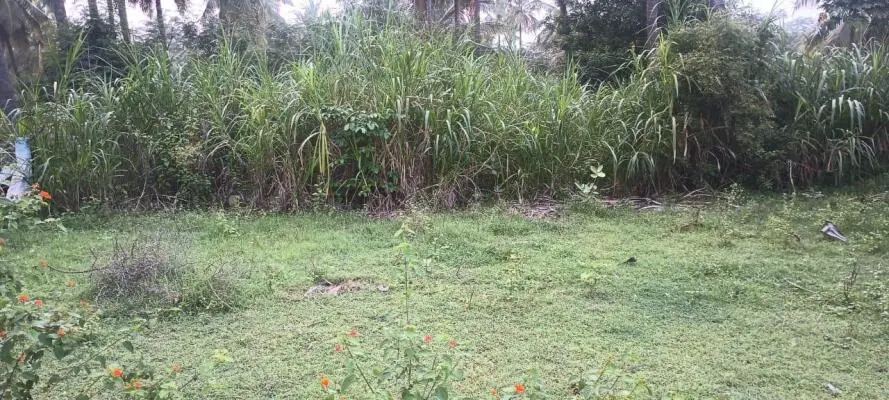 Plots for sale in Thondamuthur Coimbatore - 11+ Residential Land ...