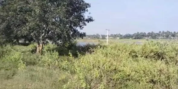 Freehold Plots in Kothagondapalli Hosur - 10+ Freehold Land / Plots for ...