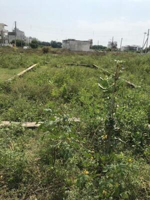 Huda Plots Resale - 14+ Flats for Resale in Huda Plots, Sector 65 Faridabad