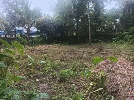 Plots for sale in Varapuzha Ernakulam - 16+ Residential Land / Plots in ...