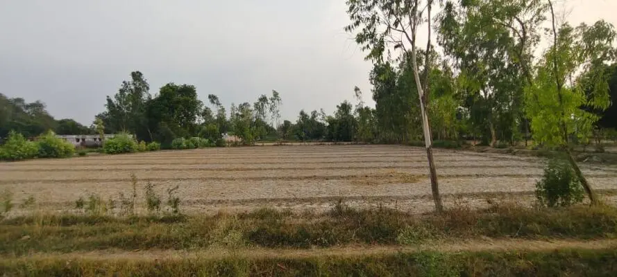 Corner Plots in Haroni, Lucknow - 1+ Corner Land/ Plots for sale in ...