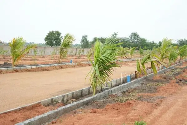 Plots for sale in Sagar Highway, Hyderabad - 12+ Residential Land ...