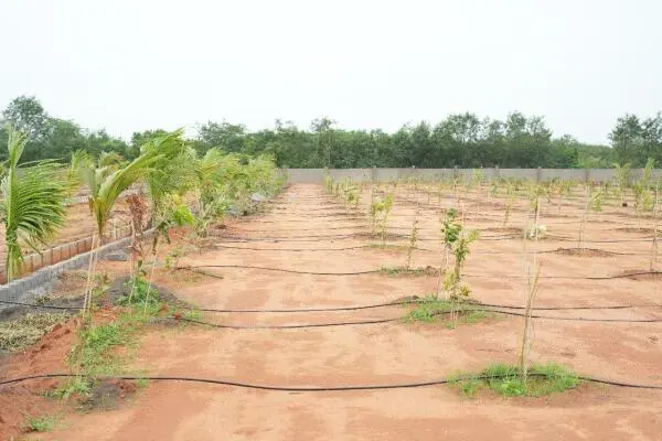 Plots for sale in Sagar Highway, Hyderabad - 12+ Residential Land ...