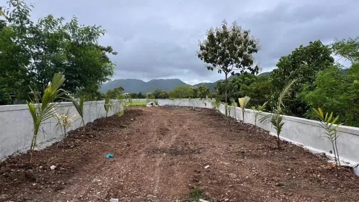 Plots for sale in Alibaug Raigad - 84+ Residential Land / Plots in ...