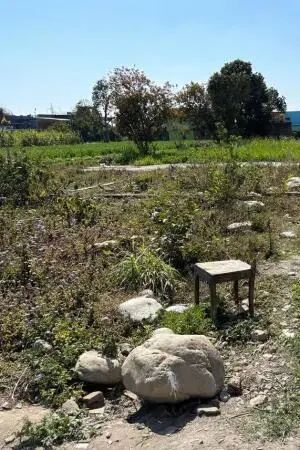 Plots for sale in Resham Majri Grant Dehradun - 15+ Residential Land ...