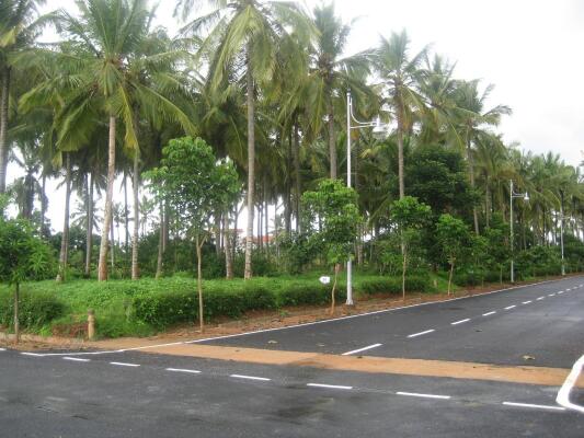 Residential land / Plot for sale in Blue Smilee Anandavana ...