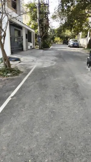 Plots in 1st Block Sir M Vishveshwaraiah Layout, Mysore Road from 5 ...