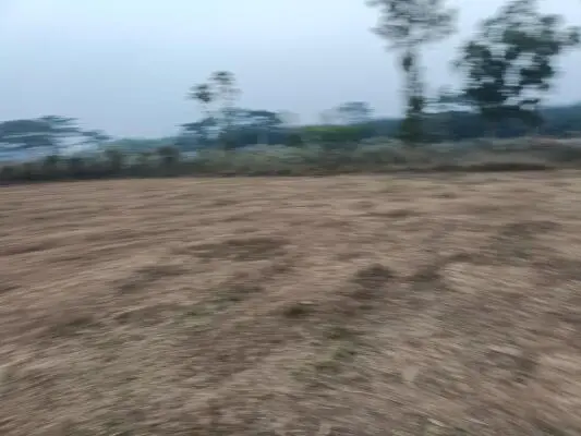 Property in Anakapalle Visakhapatnam - Real Estate in Anakapalle ...