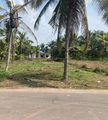 Freehold Plots in Moonnuperiya Kannur - Freehold Land / Plots for sale ...