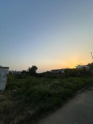 Residential land / Plot for sale in Aerocity Mohali - 500 Sqyd