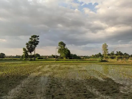 Agriculture land for sale in Bihar - Farm land for sale in Bihar