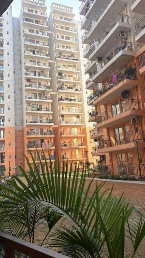3 BHK / Bedroom Apartment / Flat for rent in ROF Amaltas Sector 92 ...