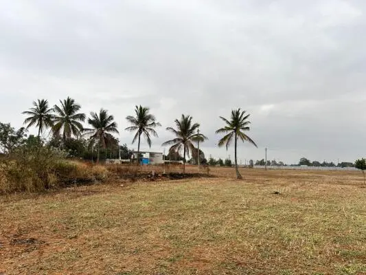 Property in Marasandra Amanikere, Bangalore - Real Estate in Marasandra ...