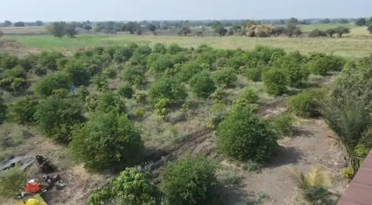 Agriculture land for sale in Maharashtra - 1176+ Farm land for sale in ...
