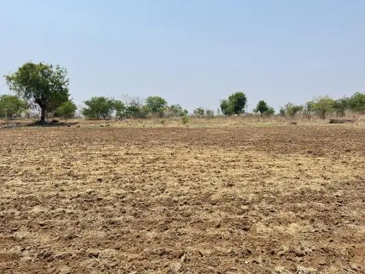Agriculture land for sale in Nagpur - 211+ Farm land for sale in Nagpur