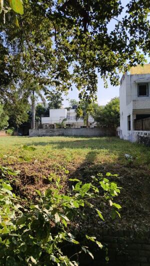 Residential land / Plot for sale in Sector 31 Gurgaon - 500 Sqyd