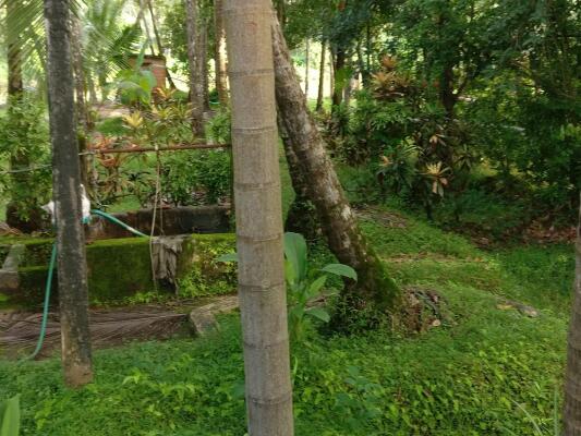 Farm House in Udupi - 3+ Farm House for sale in Udupi