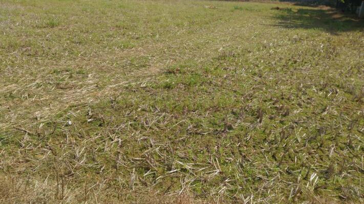 Agriculture / Farm land for sale in Karkala Udupi - 0 Sq. Yard.