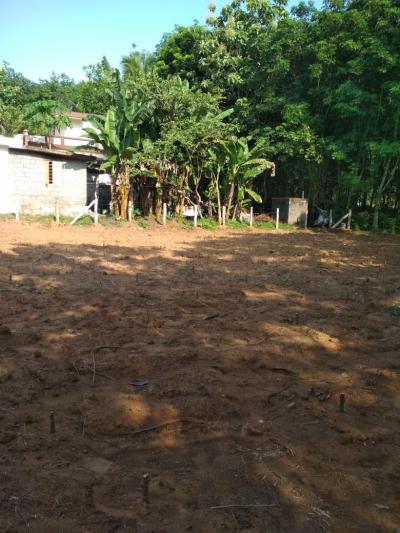 Corner Plots in Alappuzha - 15+ Corner Land/ Plots for sale in Alappuzha