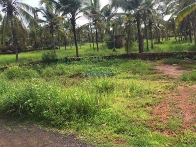 Plots near Community Center, Alakode, Kannur - 10+ Residential Land ...