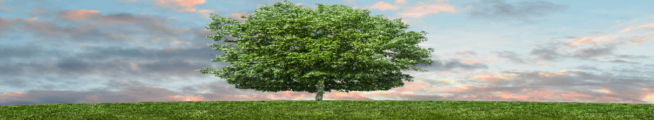 Environment ministry notifies only 26 of 452 proposed eco-sensitive ...