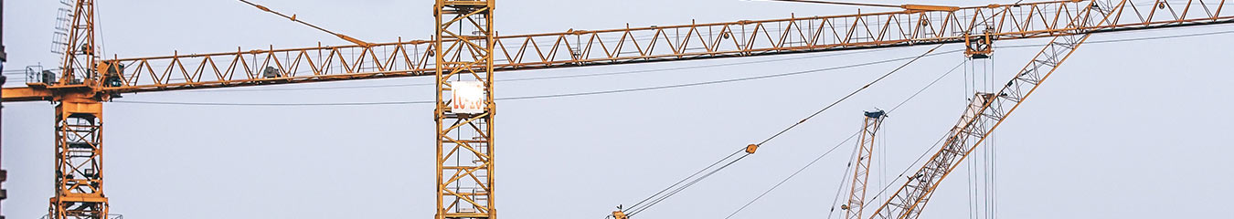 Centre to build 300 villages as growth centres