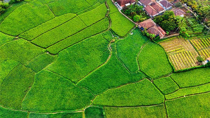 Tips for buying a plot in India (2024): Documents, Zoning, Types