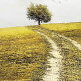 National Highway 75: Route, Map, Junctions & Major Attractions