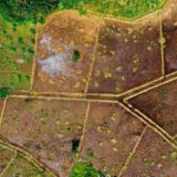 Who is a Mamlatdar: Know roles, duties, responsibilities