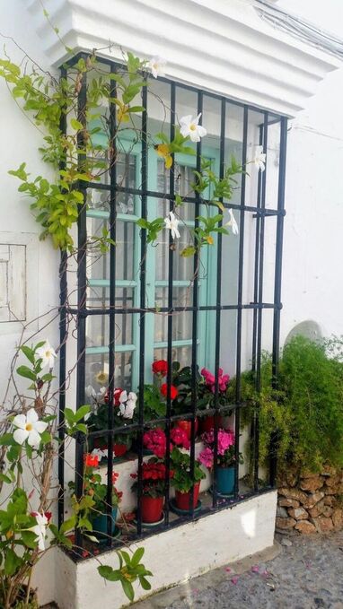 Window grill designs (with photos): 20+ Designs for Indian homes (2025)